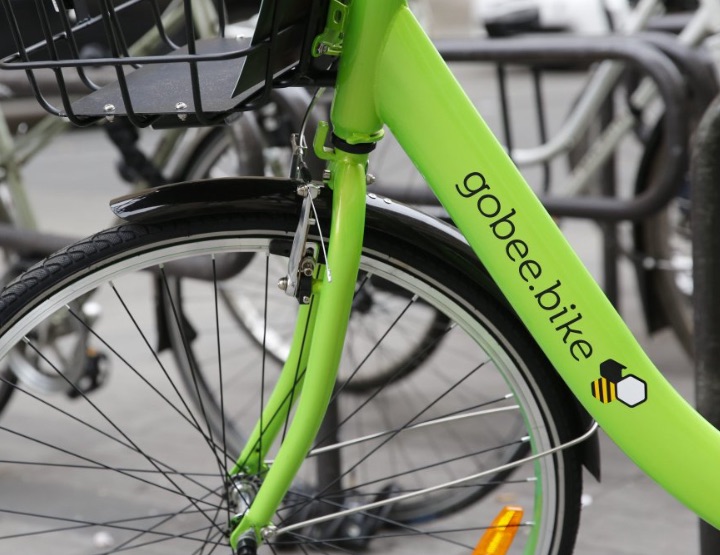 Marseille Vert » Premier web magazine marseillais 100 % écolo ! » Les ...