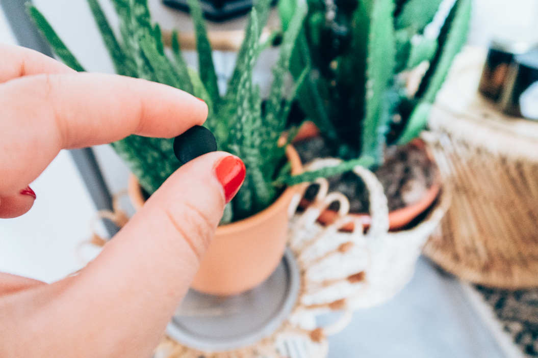 Marseille Vert » Premier web magazine marseillais 100 % écolo ...